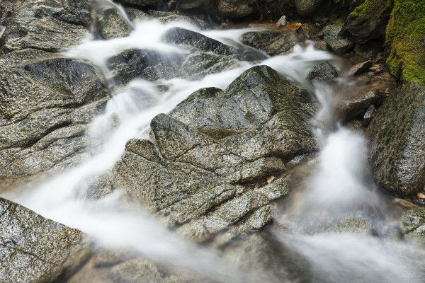 Building Environmentally-Sensitive Trails | Land Trust Santa Cruz