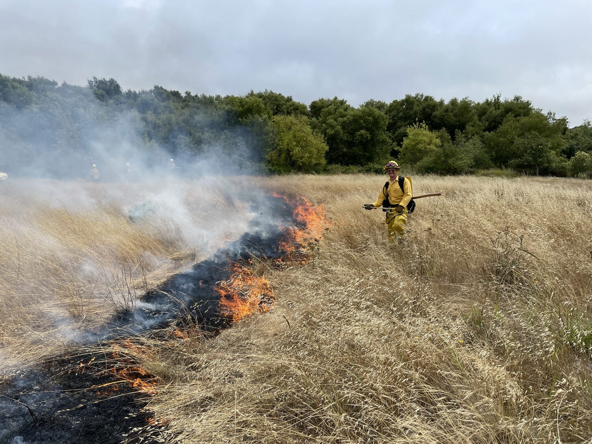 In the Santa Cruz Sentinel: Watsonville Slough Farm Hosts Prescribed ...