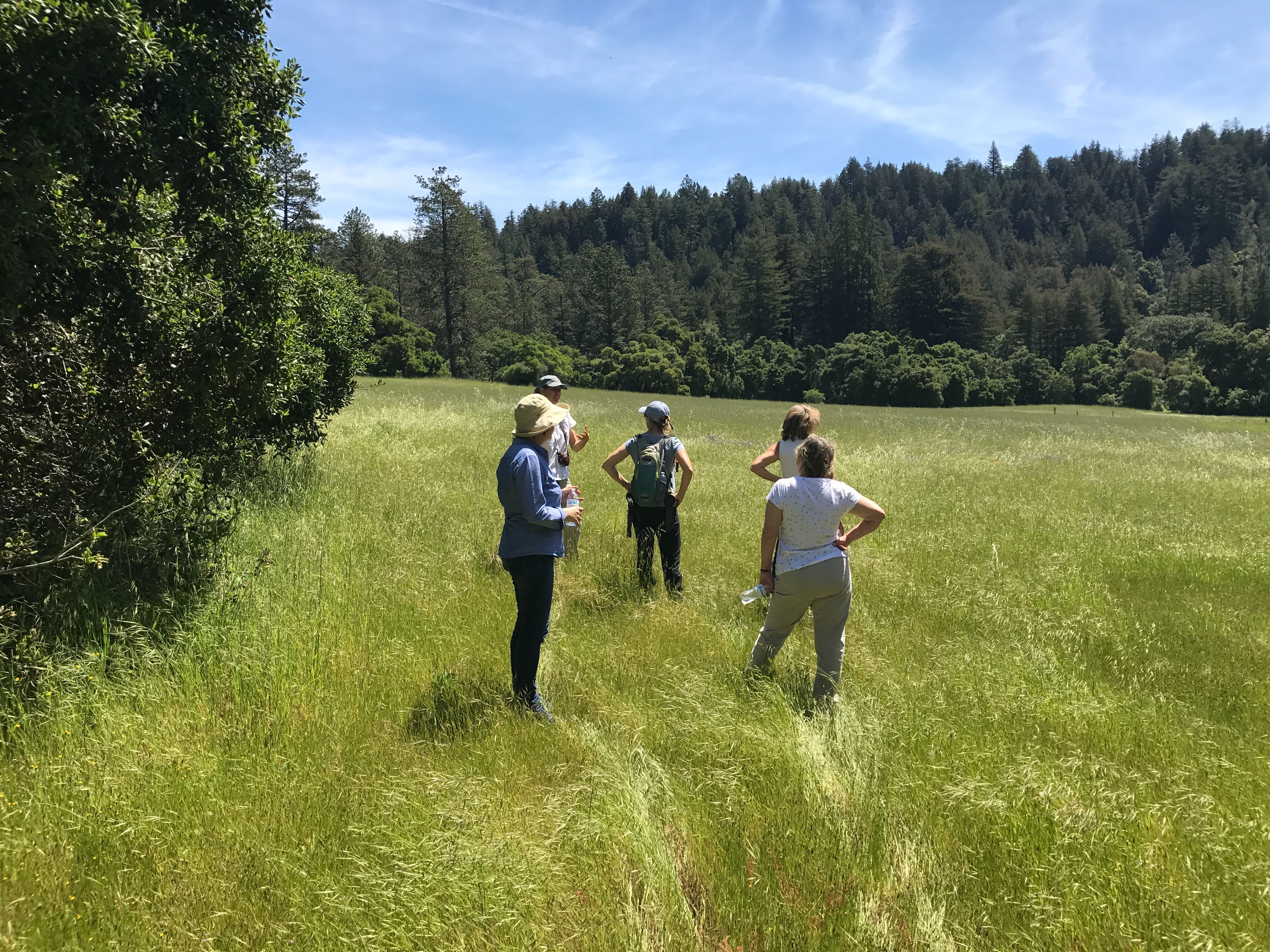 Our Team | Land Trust Santa Cruz