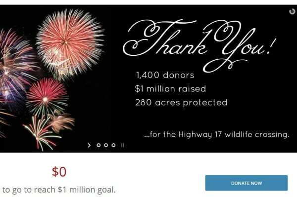 A Quiet, Spectacular Week | Land Trust Santa Cruz